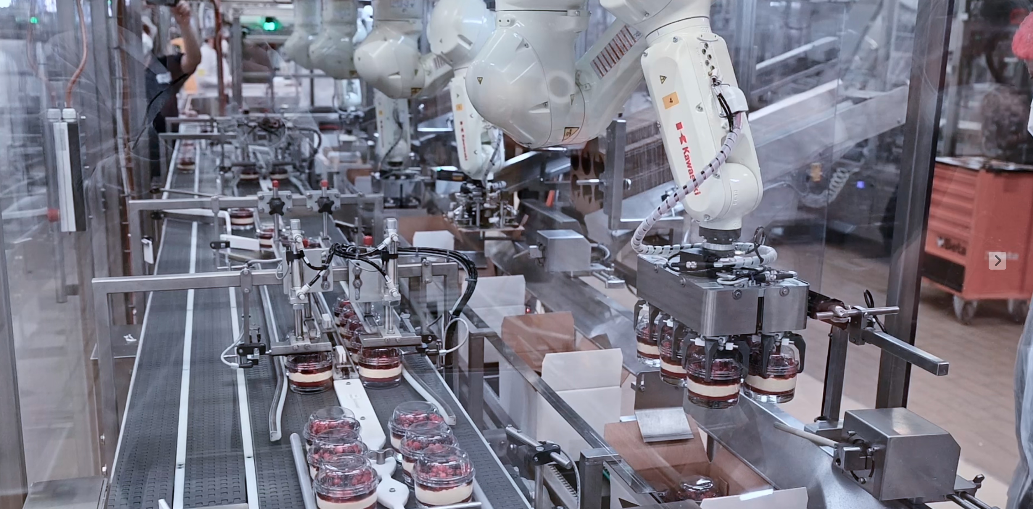 Macchine Packaging Alimentare | Macchine Confezionatrici per Alimenti | ESN Engineering Service ...